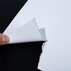 Black Core Cardstock | CPPS